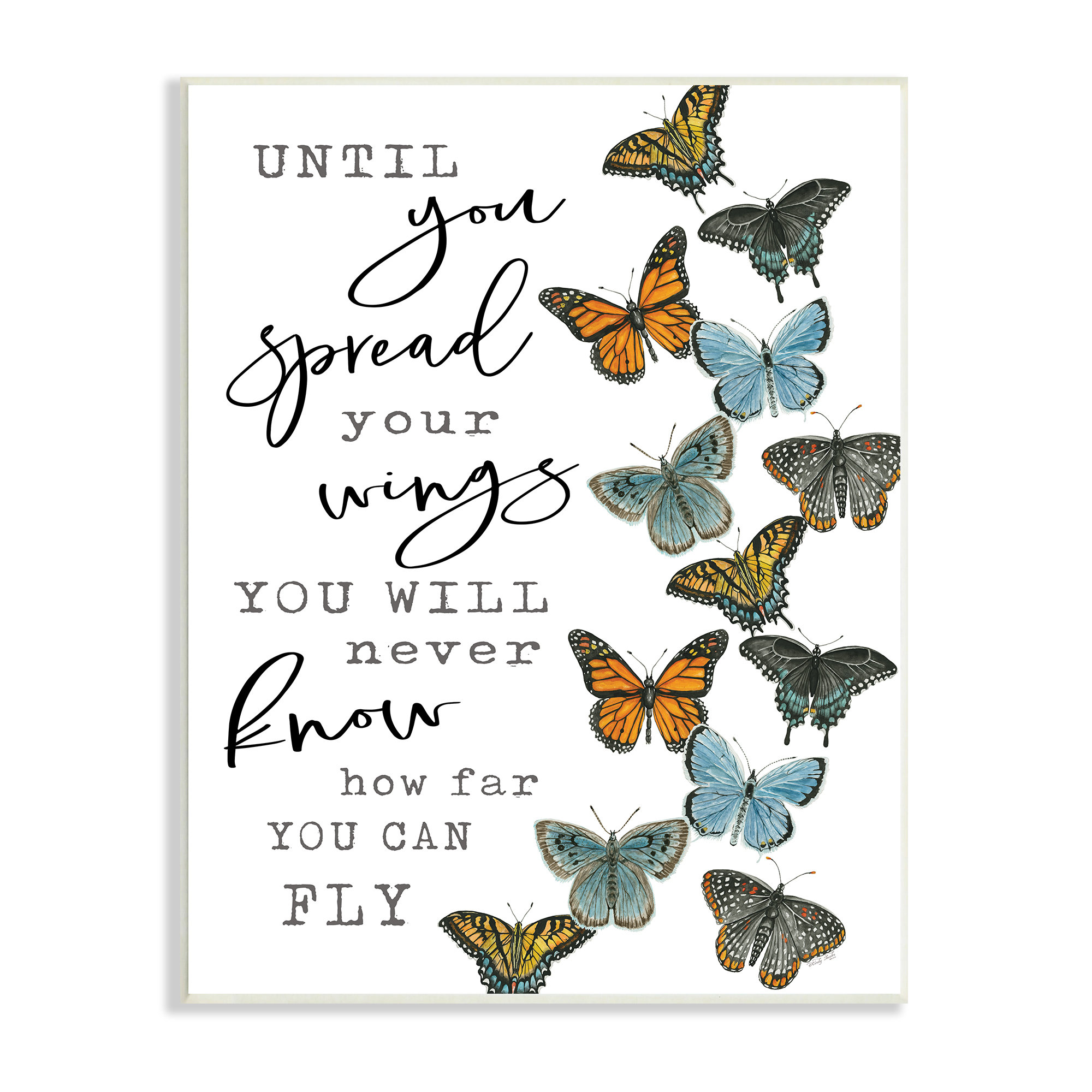 Stupell Industries Spread Your Wings Encouraging Butterflies Motivational Quote Wall Plaque Art ...